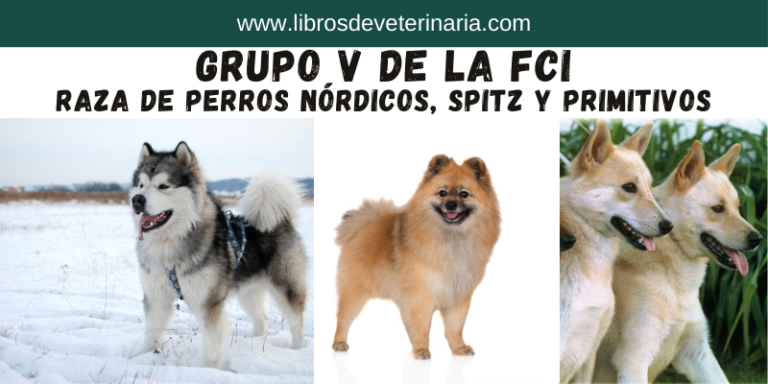 Razas de Perros 【Información Actualizada】